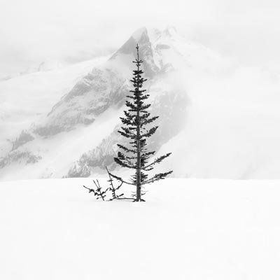 Ultra High Resolution Gigapixel Panorama Photos - VAST