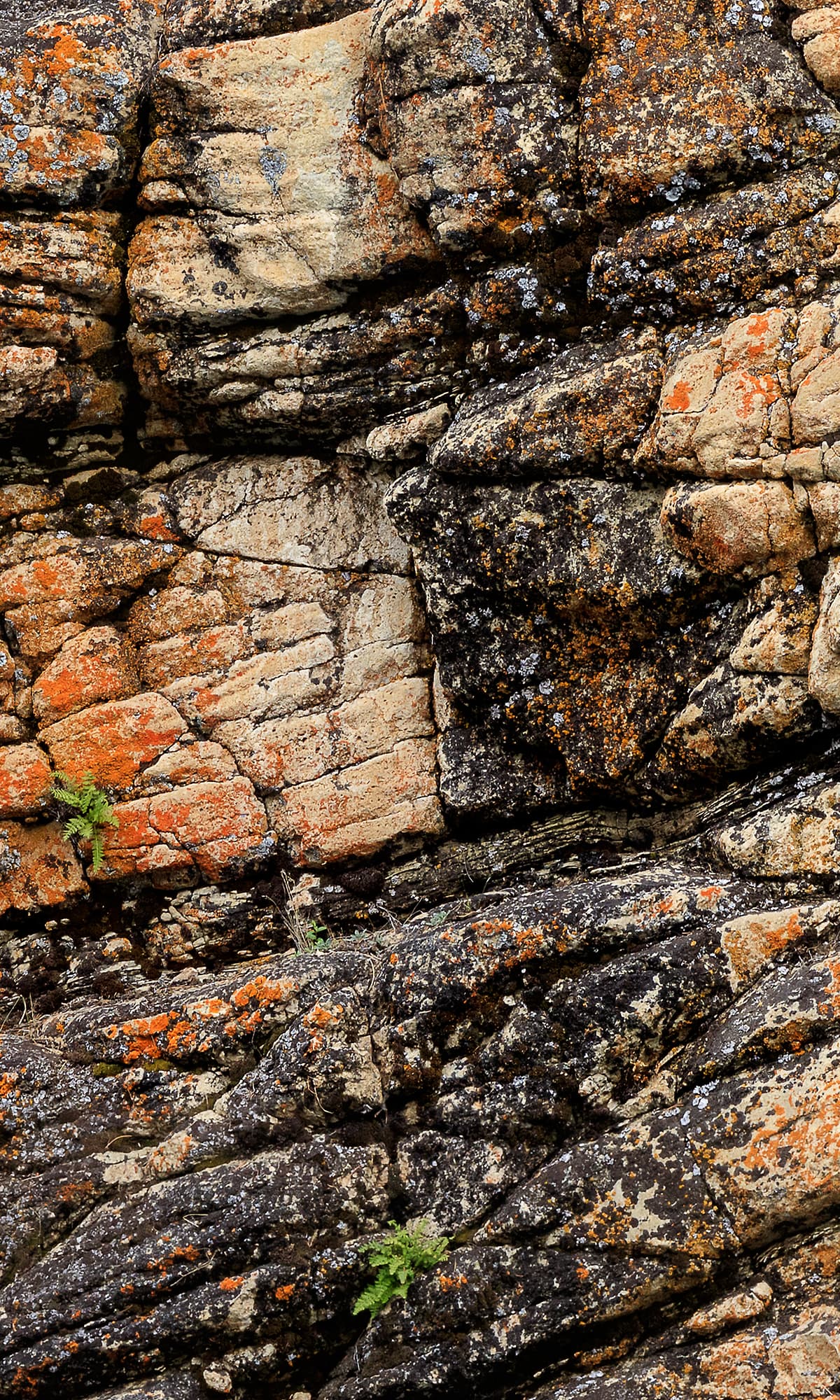 Natural Rock Wall Texture