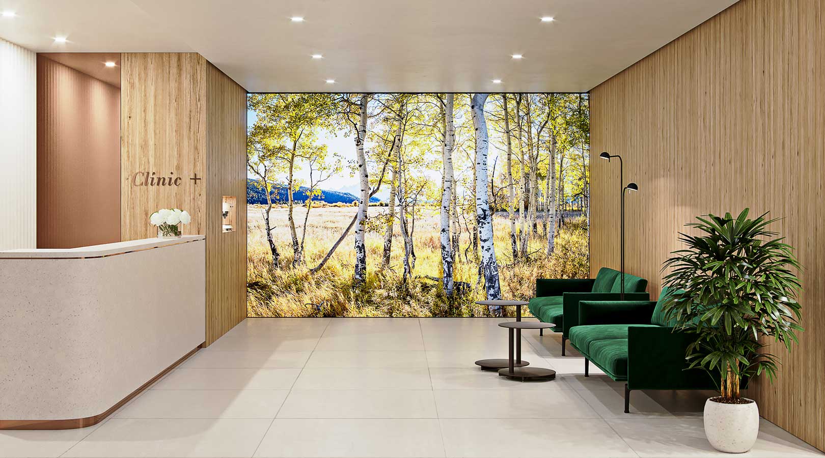 VAST: High Resolution Fine Art Photos & Large-Format Prints