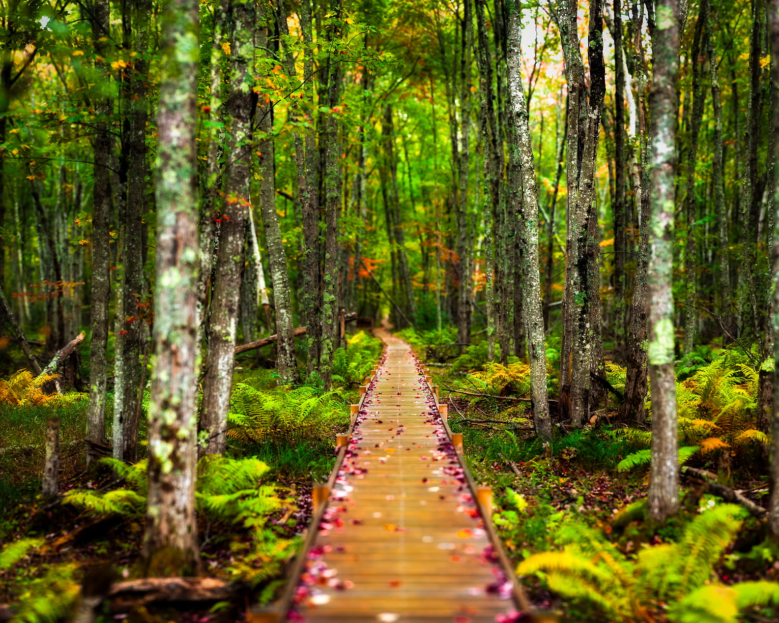 Nature Photos of National Parks: High-Res Fine Art Photo Prints - VAST