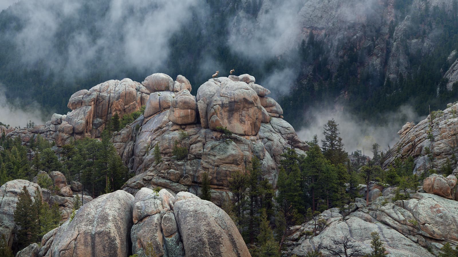 Imaginary Landscape Artwork - VAST