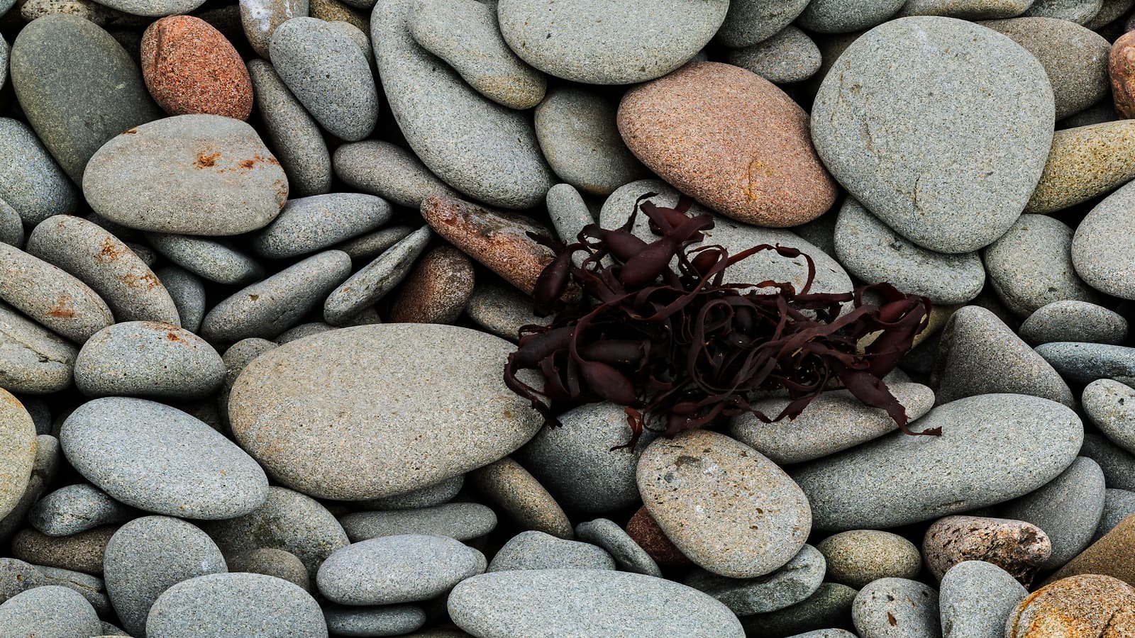 High Resolution Photo of Rocks - VAST