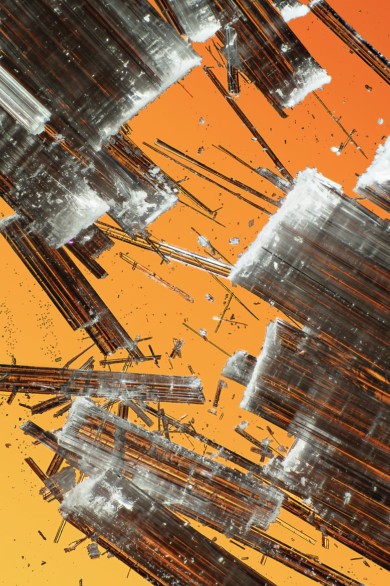 Artistic Microscope Photos - Fine Art Prints - VAST