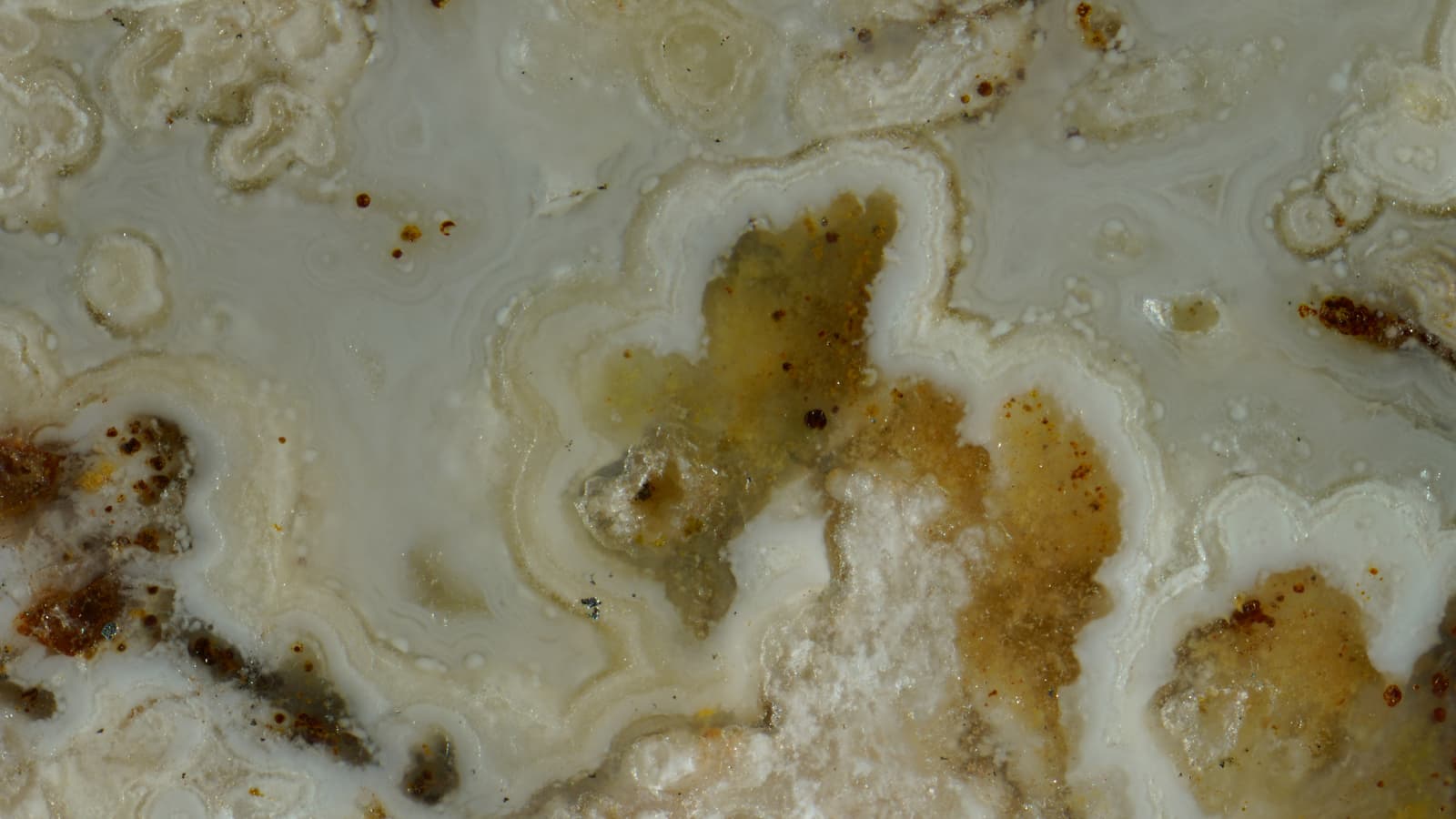 "Lower World: Totem" by Steph Mantis - Fine Art Prints by VAST