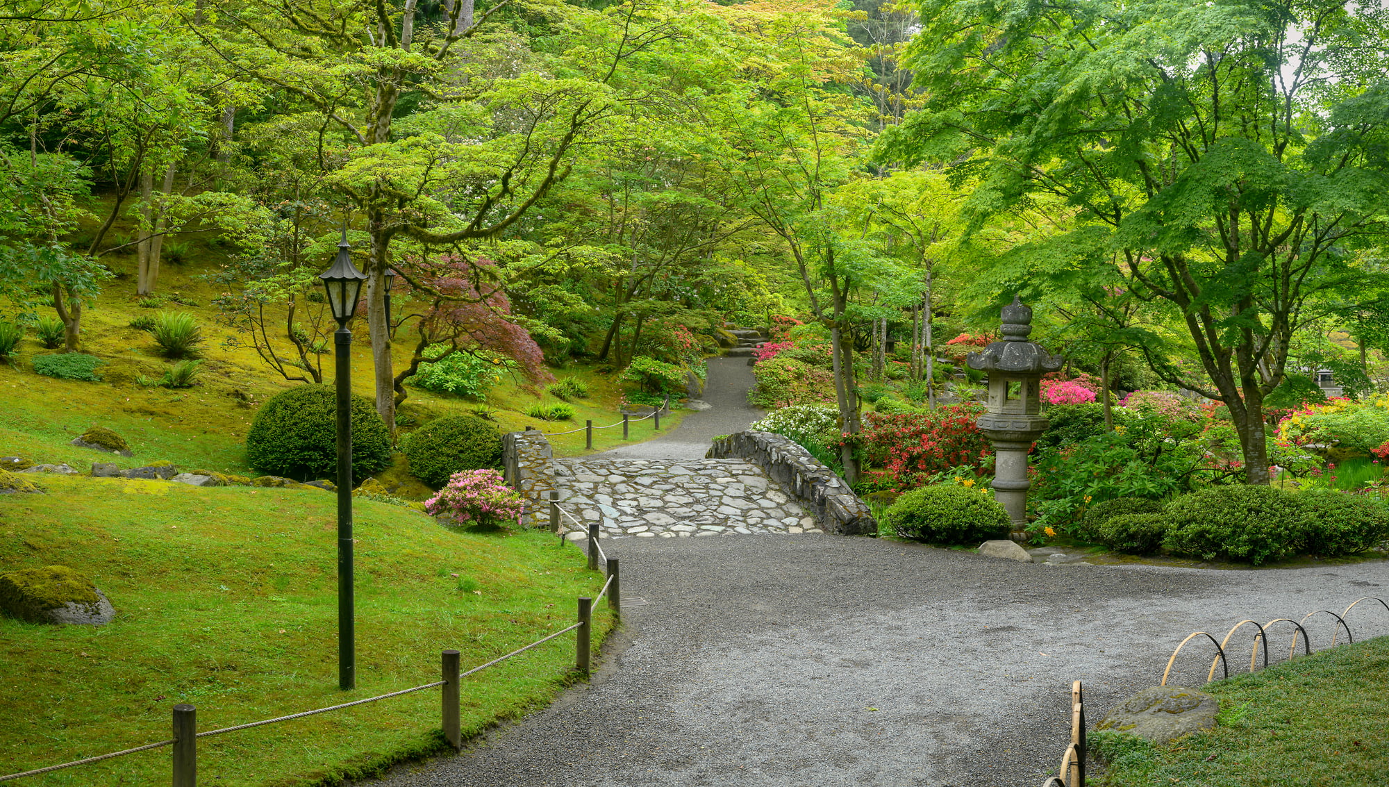Photos of Japanese Gardens - VAST