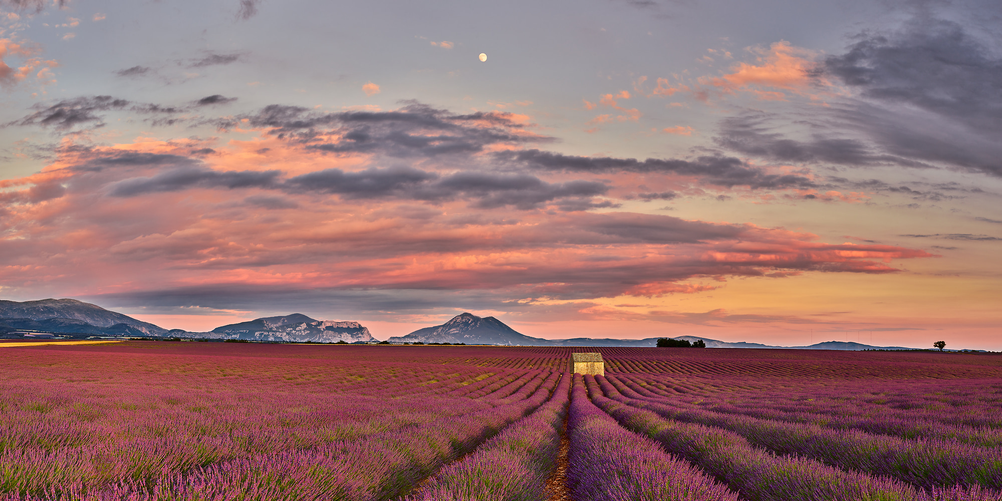 Ultra high resolution photos of Valensole - VAST