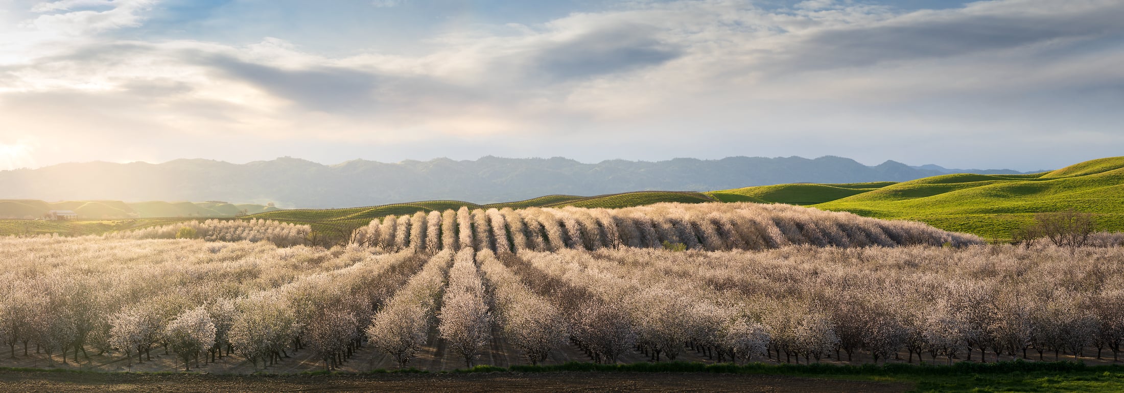 Photos of Central Valley, California - VAST