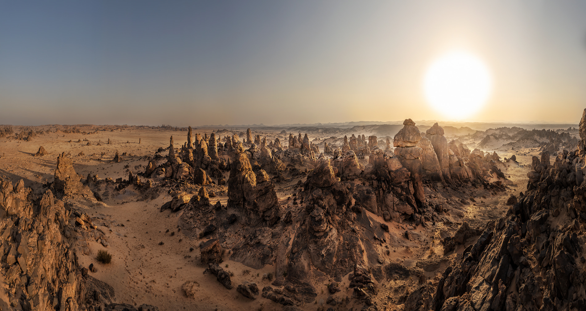 Surreal landscape murals - VAST