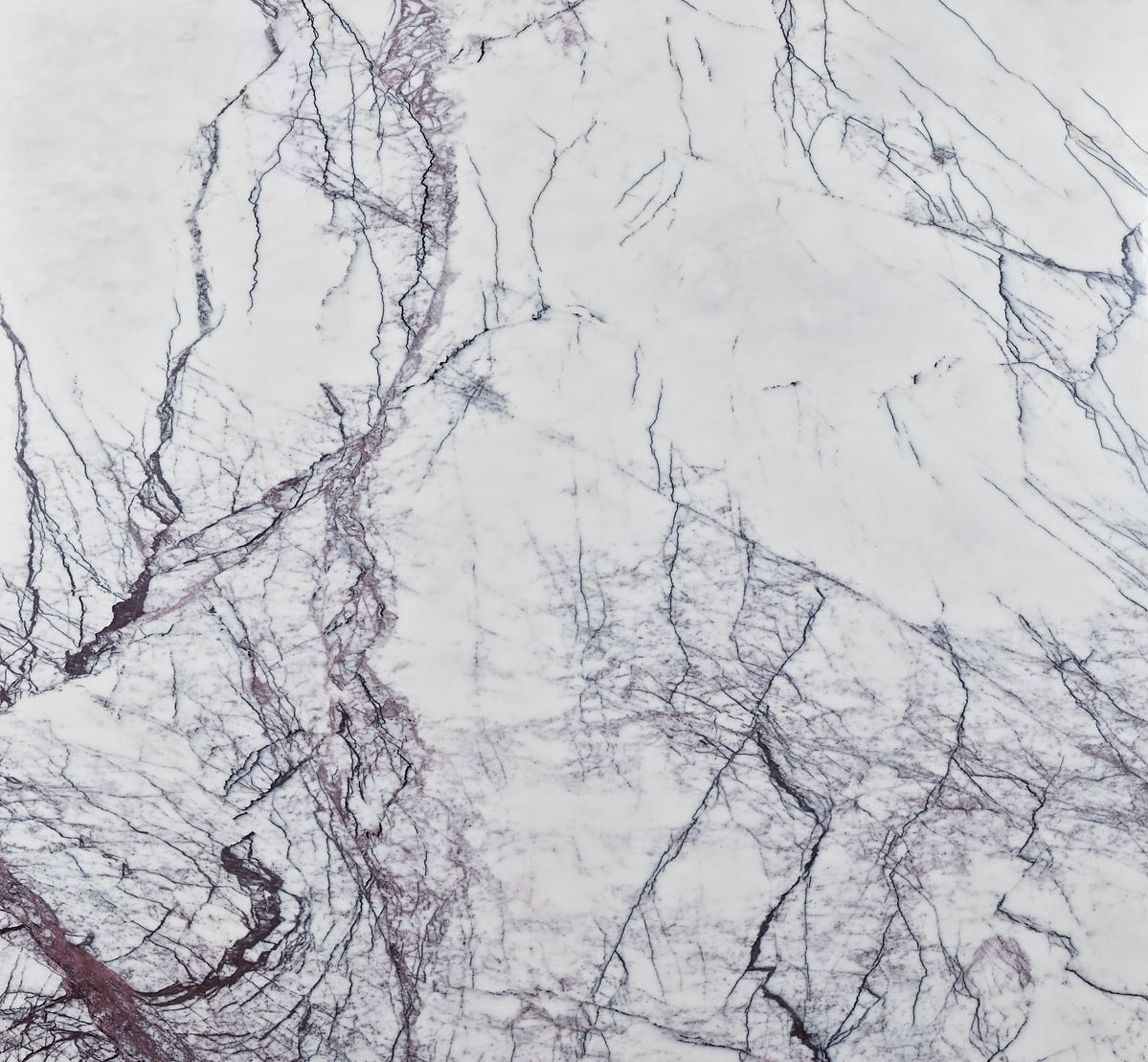 Bianco Lilac Marble Stone: Ultra-high-res texture photo