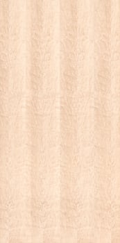 Maple Oiled Wood: Ultra-high-resolution texture photo
