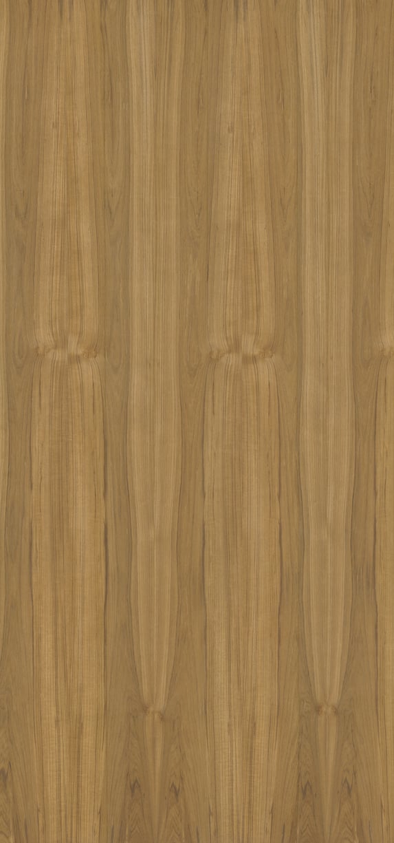Rare Teak Natural Wood: Ultra-high-resolution texture photo