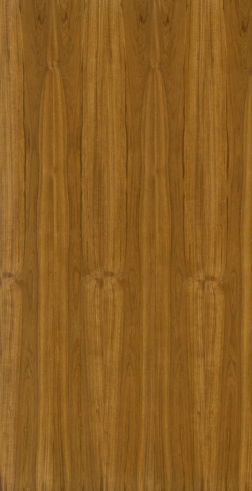 Rare Teak Natural Wood 2: Ultra-high-res texture photo