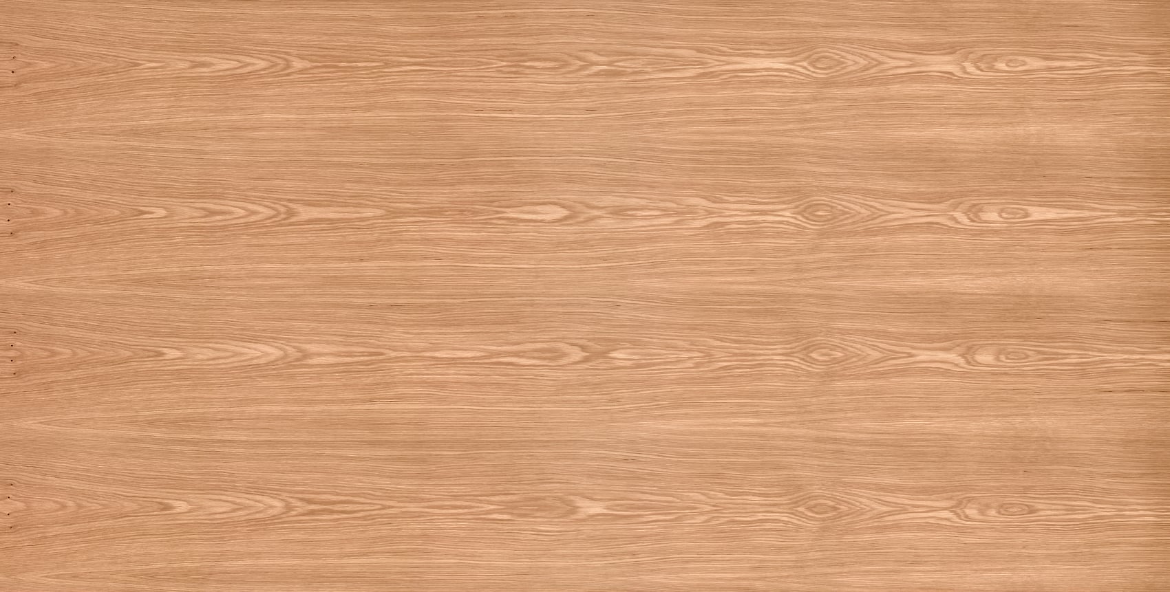 Oak Oiled Wood: Ultra-high-resolution texture photo