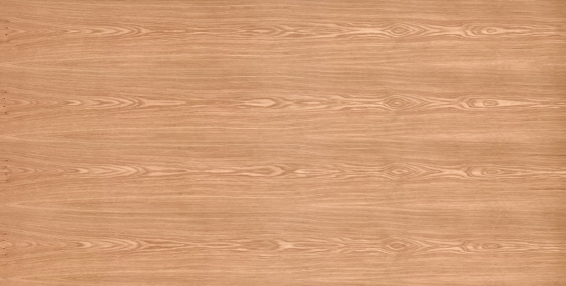 Oak Oiled Wood: Ultra-high-resolution texture photo
