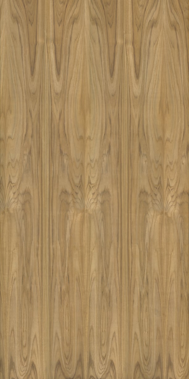 Teak Wood: Ultra-high-resolution texture photo