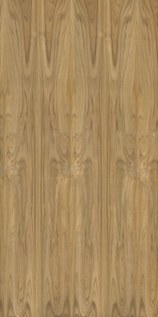 Teak Wood: Ultra-high-resolution texture photo