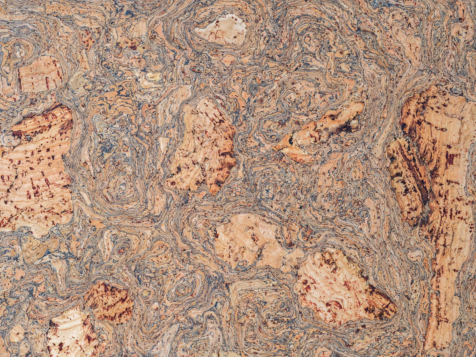 Cork material photo - Ultra-high-resolution photos by VAST