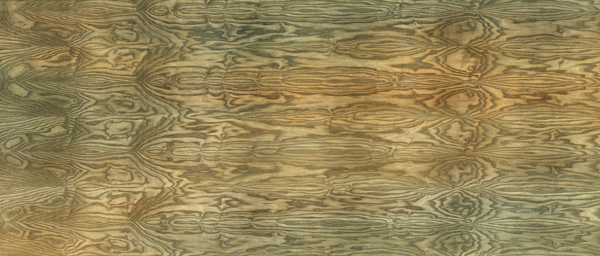 Olive Brown Wood Grain Texture: Download high-res images