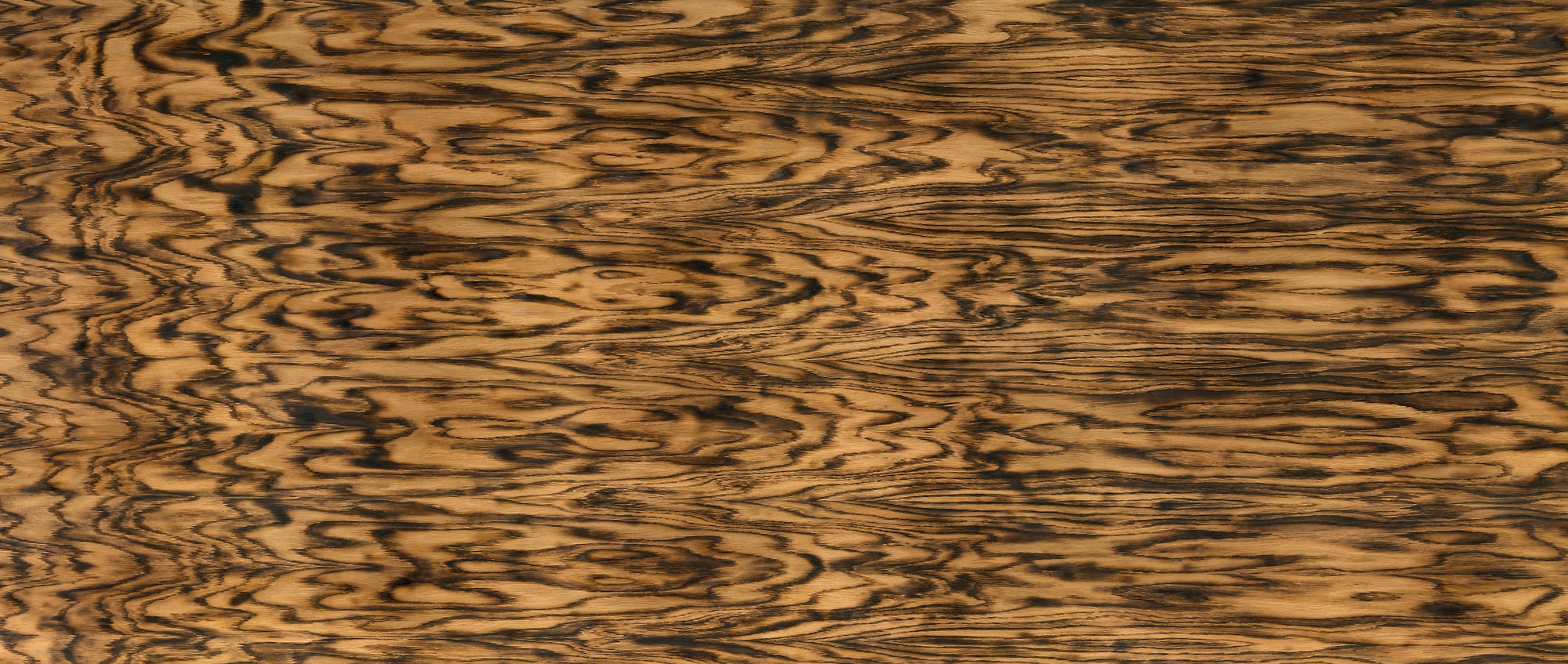 Charred Oak Wood with Burnt Grain Texture: HD image files