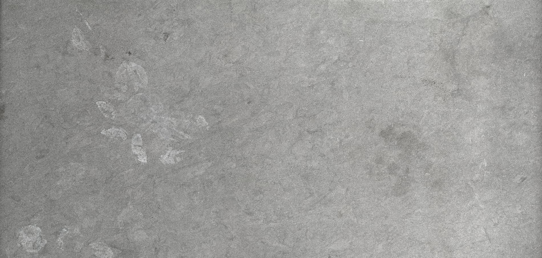 Grey Limestone Surface Texture: Download high-res image file