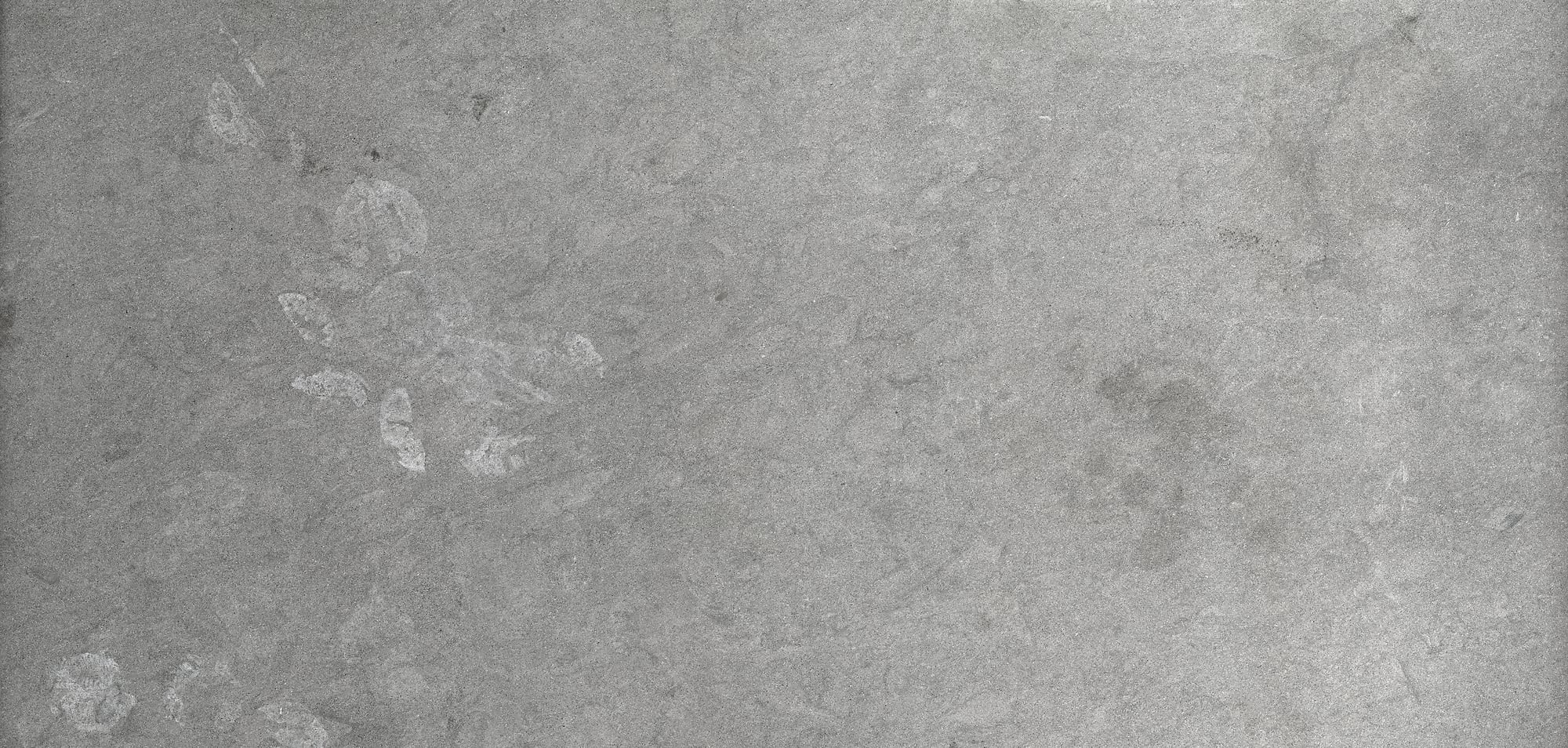 Grey Limestone Surface Texture: Download high-res image file