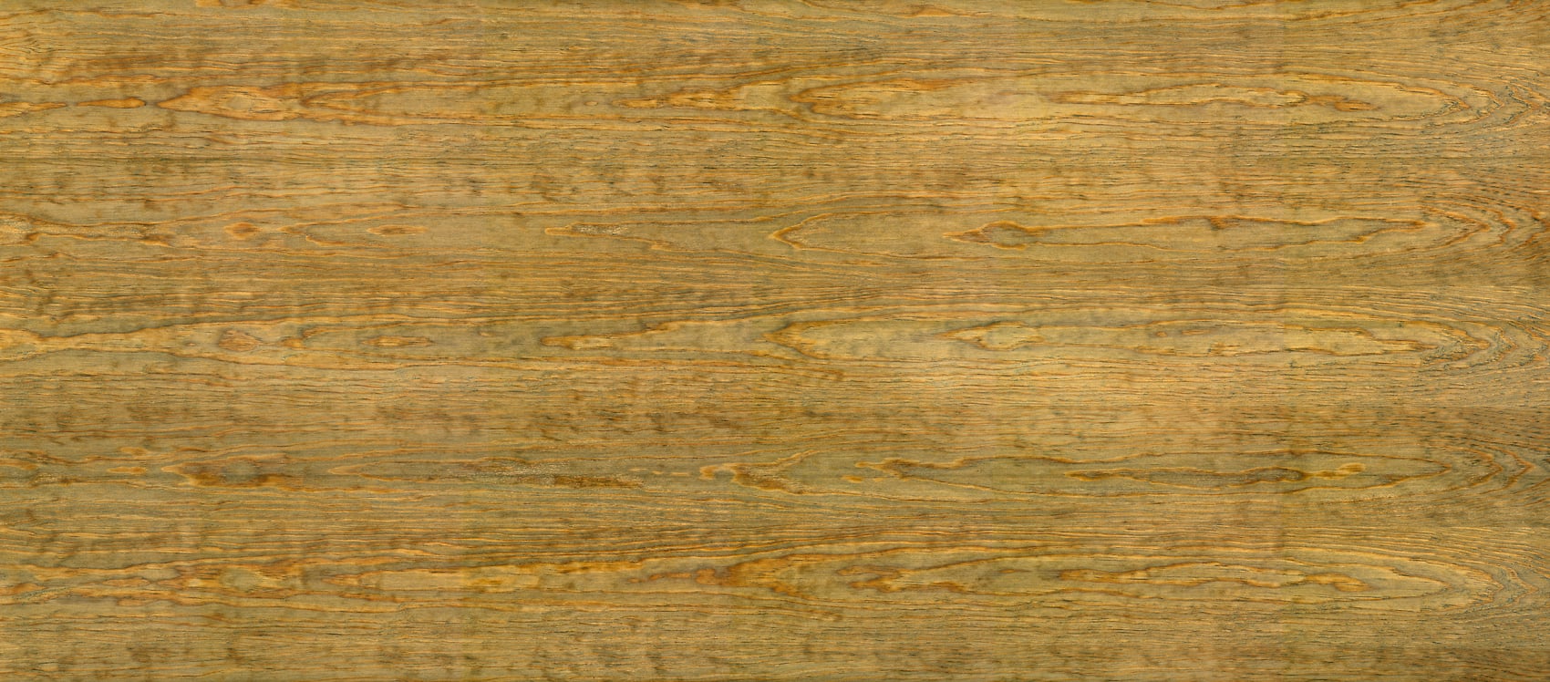 Green Washed Oak Wood Texture 2: Download high-res images