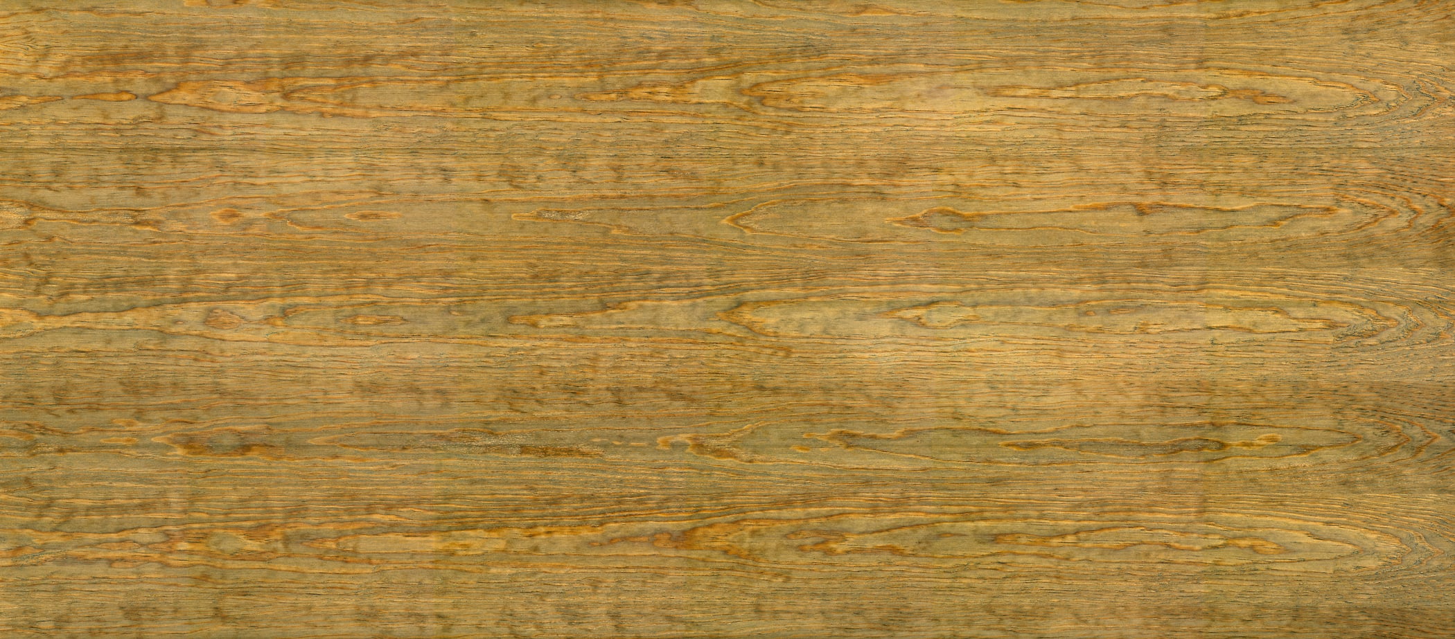 Green Washed Oak Wood Texture 2: Download high-res images