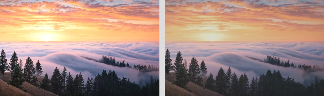 Ultra High Quality Canvas Photos for Purchase - VAST